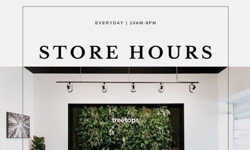 Find Dispensaries and Weed Delivery Near Me - Budhub