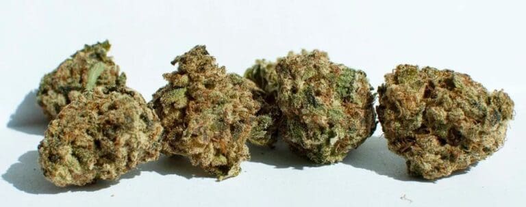 The New Weed Grading System Canada Explained - Budhub.ca