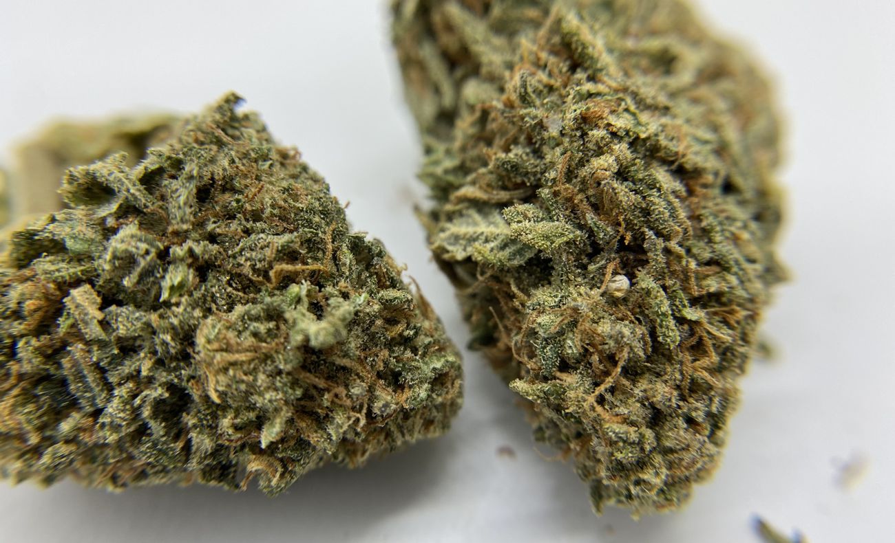 Is BC Bud the Best in the World? An Exploration of Canada's Legacy - Budhub.ca